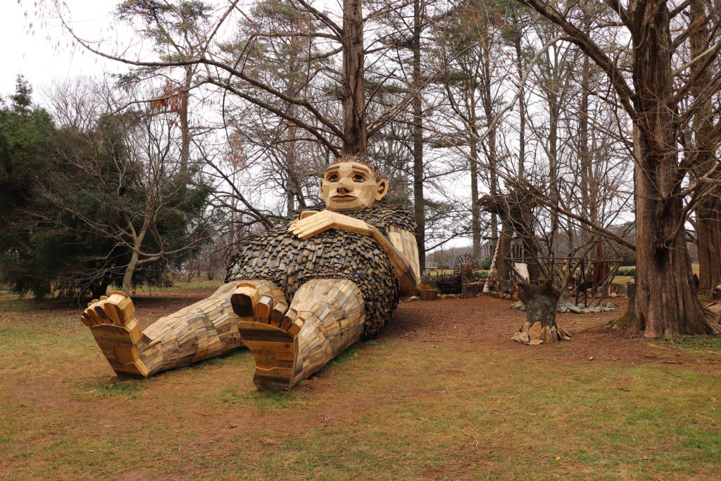 Forest Giants Tips and FAQ's | Bernheim Forest and Arboretum