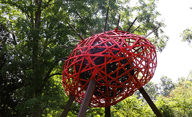 Our Precious Forest | Bernheim Forest and Arboretum