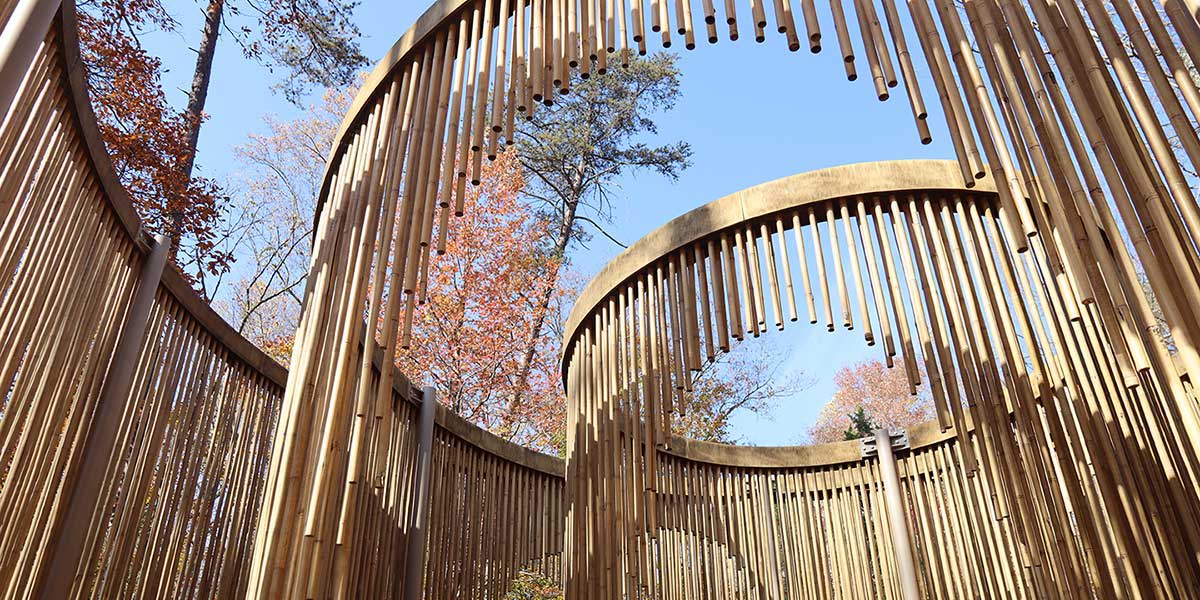 Arts in Nature Tour: L+A+N+D an experience of discovery | Bernheim ...
