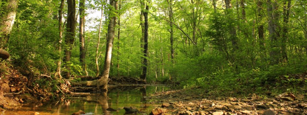 Millennium Trail (15 mi) | Bernheim Forest and Arboretum