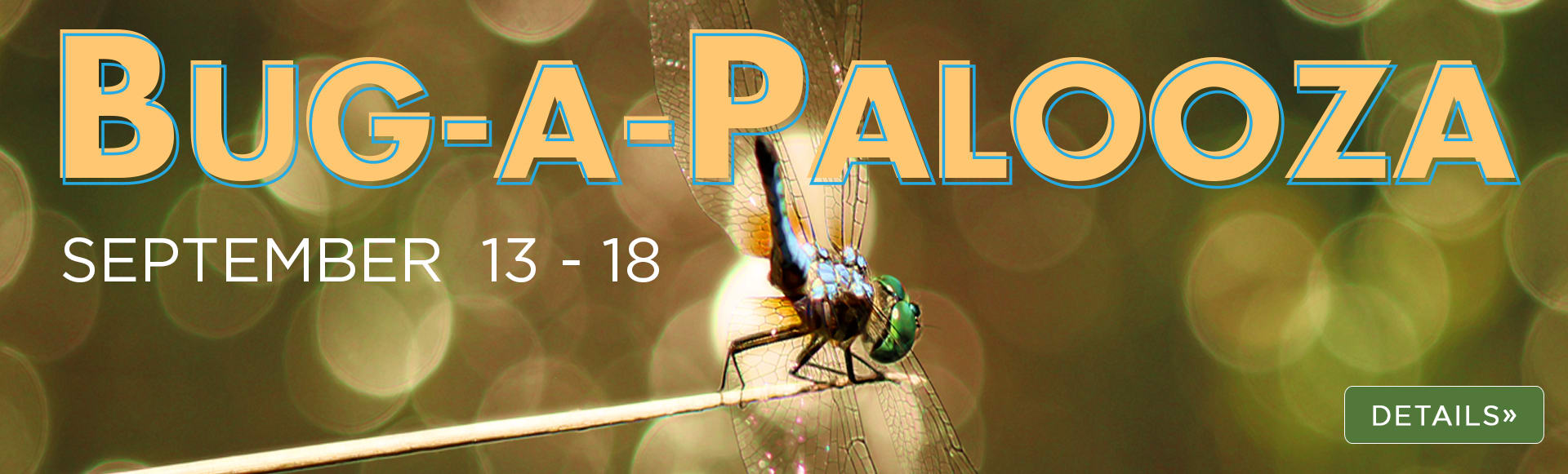 Bug-a-Palooza | Bernheim Forest and Arboretum