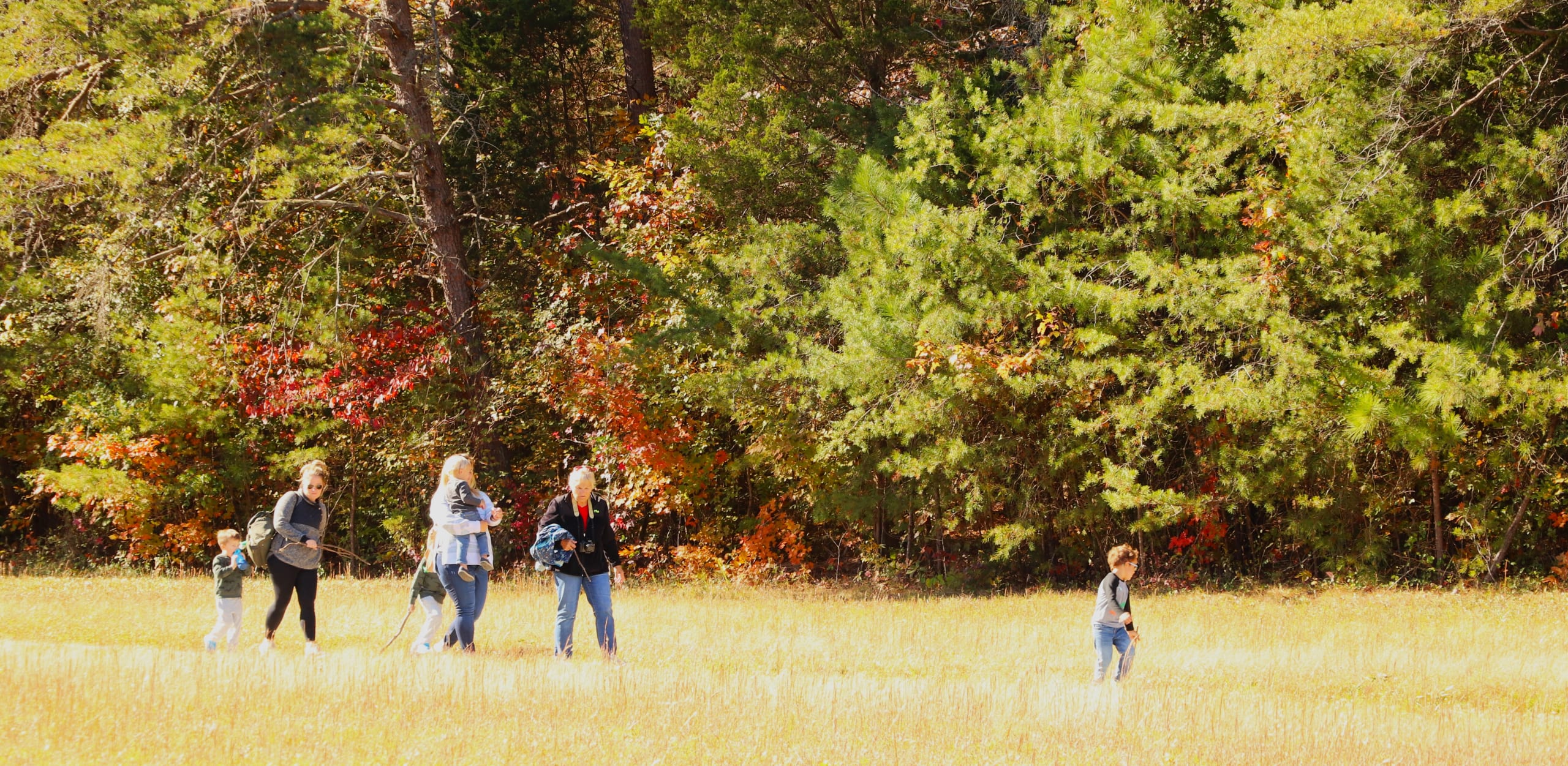 True Tales & Tall Tales | Bernheim Forest and Arboretum