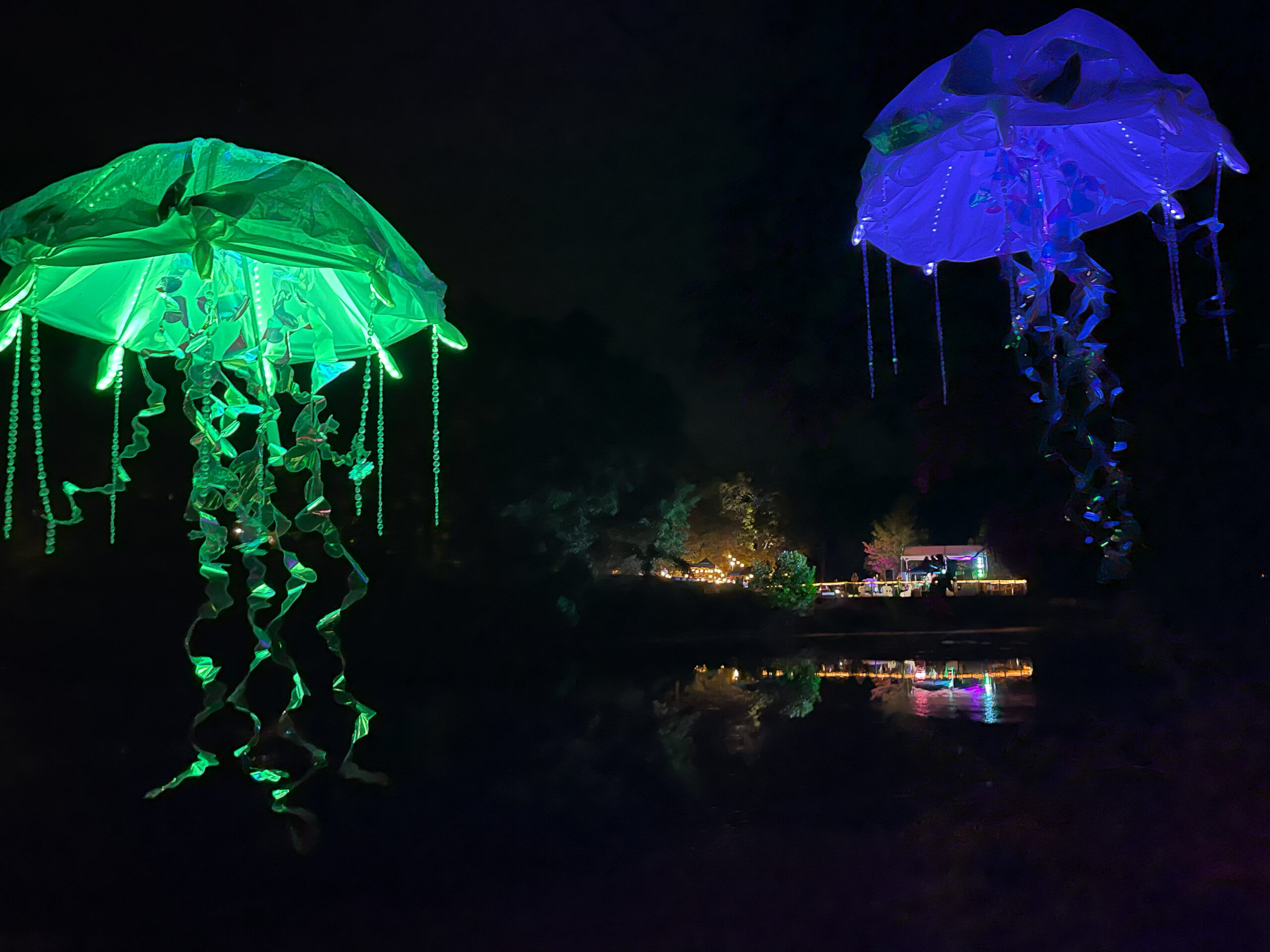 Amazing Art at CONNECT 2022 | Bernheim Forest and Arboretum