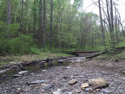 Cull Hollow Loop (1.5 mi) | Bernheim Forest and Arboretum