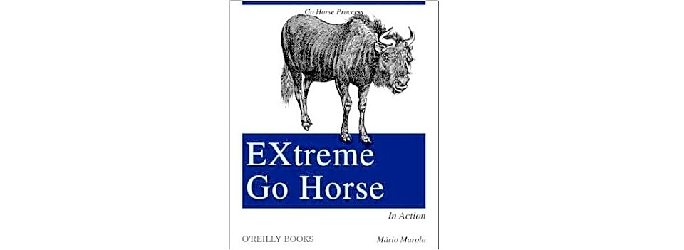 eXtreme Go Horse (XGH) Process Source