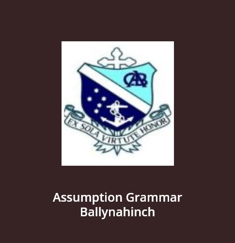 Assumption Grammar Ballynahinch