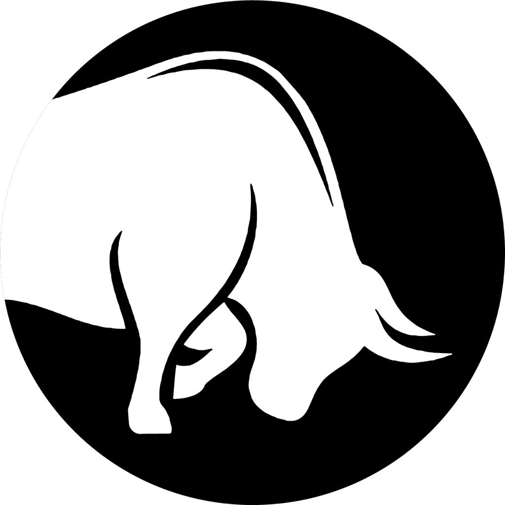 Brand Bull Advertising - Best Advertising Agency in Hyderabad