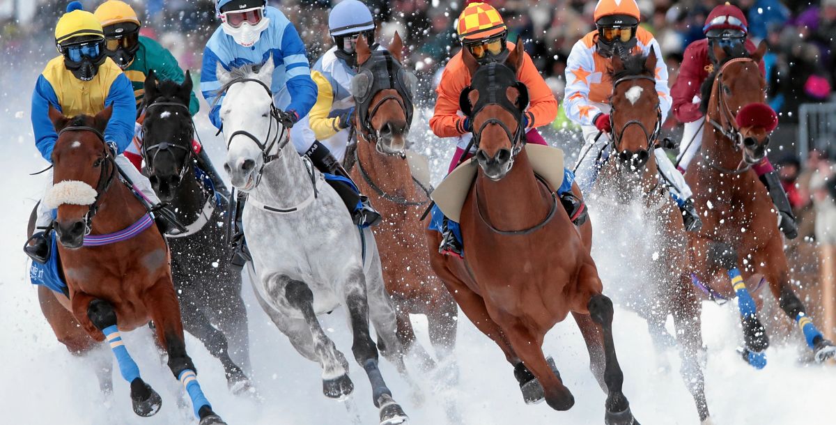 Top Event Engadin: White Turf St. Moritz - International Horse Races on ...