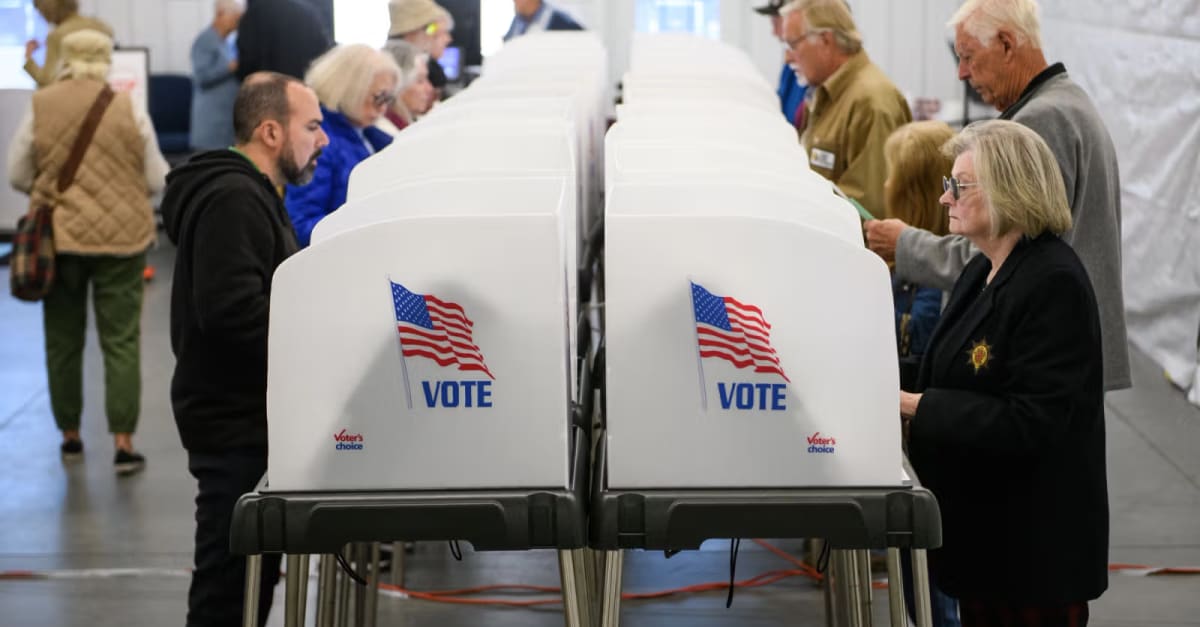 Everything You Need To Know About Madison's Spring Primary Election ...