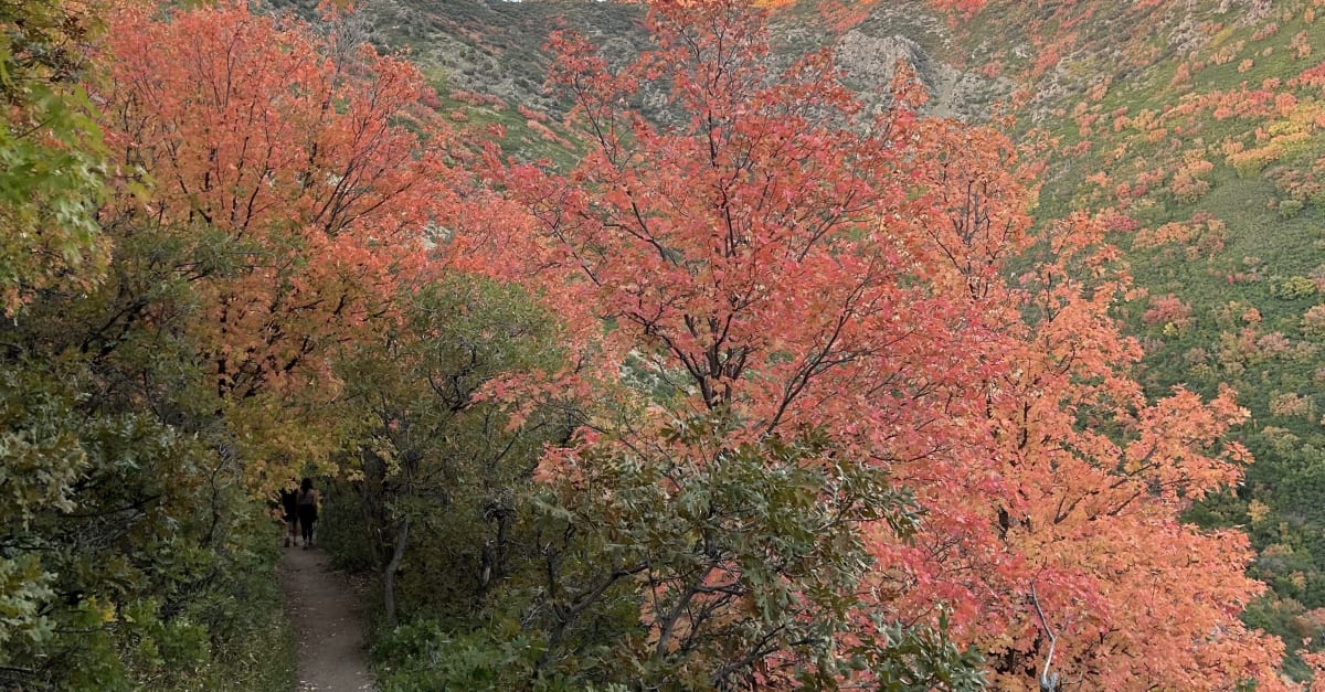 Salt Lake Fall Bucket List Ideas 2025 - City Cast Salt Lake