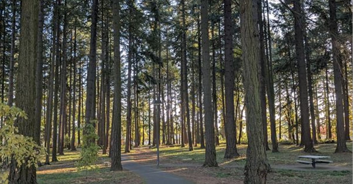 Russell, the East Portland, Oregon, Neighborhood You've Never Heard of ...