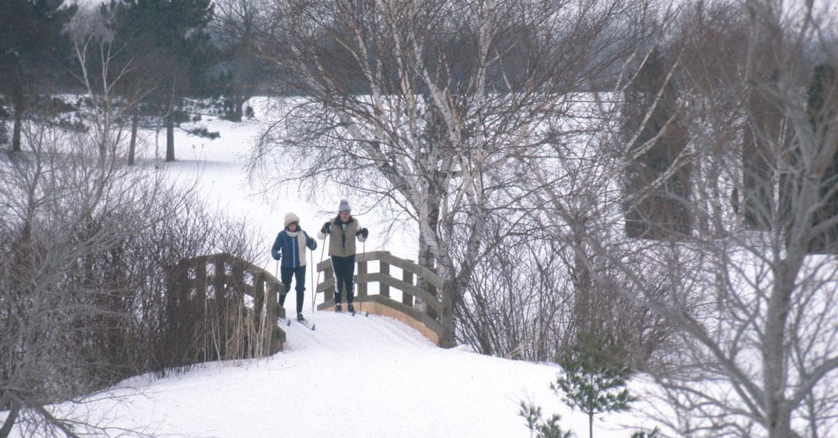 How To Enjoy Winter in Madison - City Cast Madison