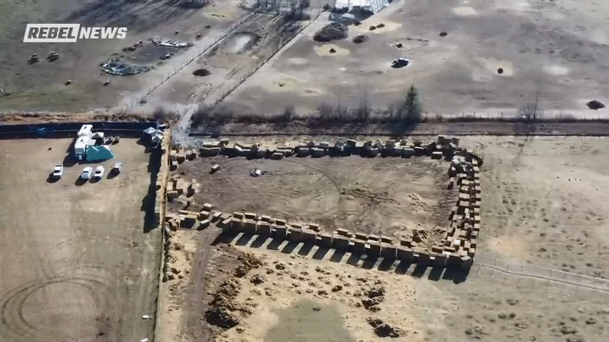 Where is the ostrich farm now, two months after the CFIA slaughter ...