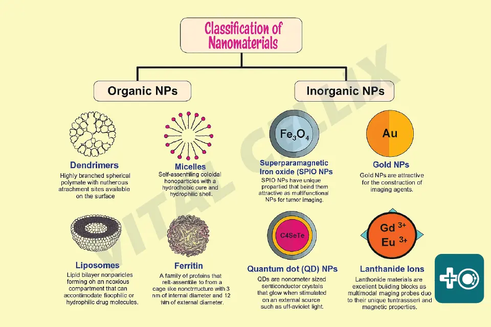 Classification of Nanomaterials: Organic vs. Inorganic | Nanotechnology ...