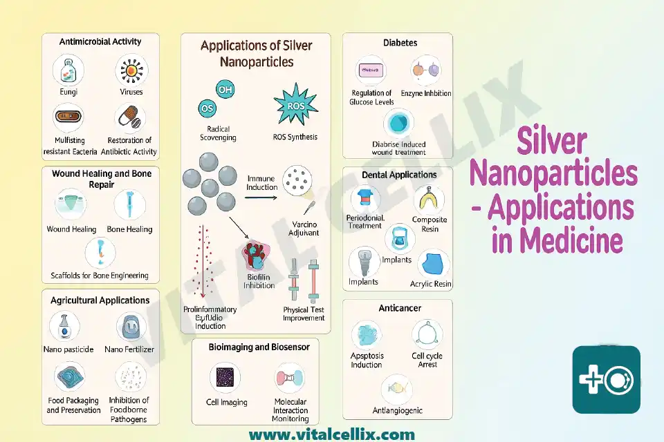 Antimicrobial Nanomaterials: Silver Nanoparticles | Nanotechnology ...