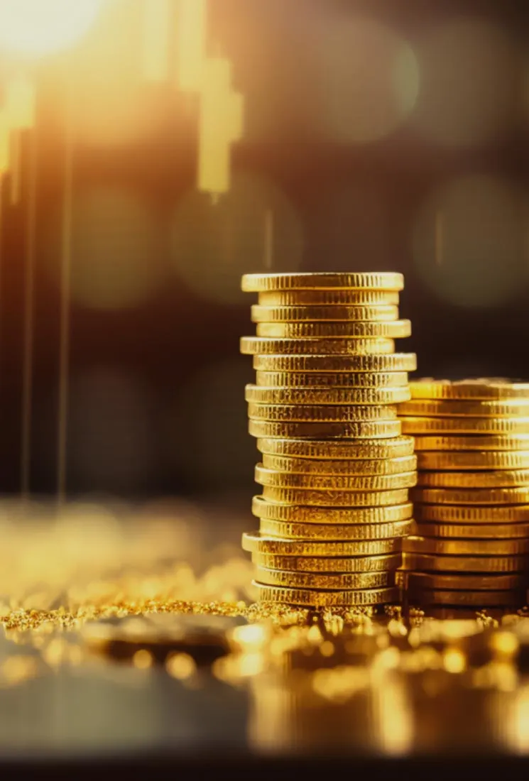 Services | Shanta Securities Limited