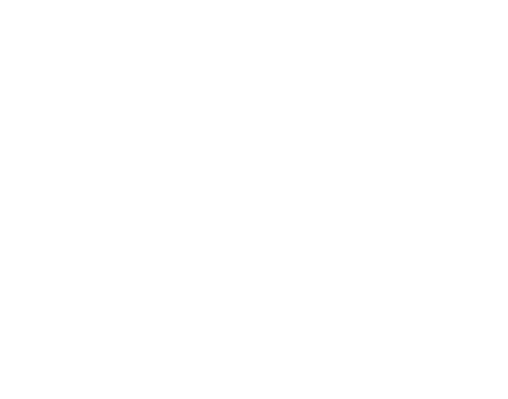 Shanta Securities Limited