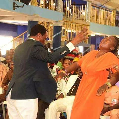 Home - Zamarion House Global Gallery