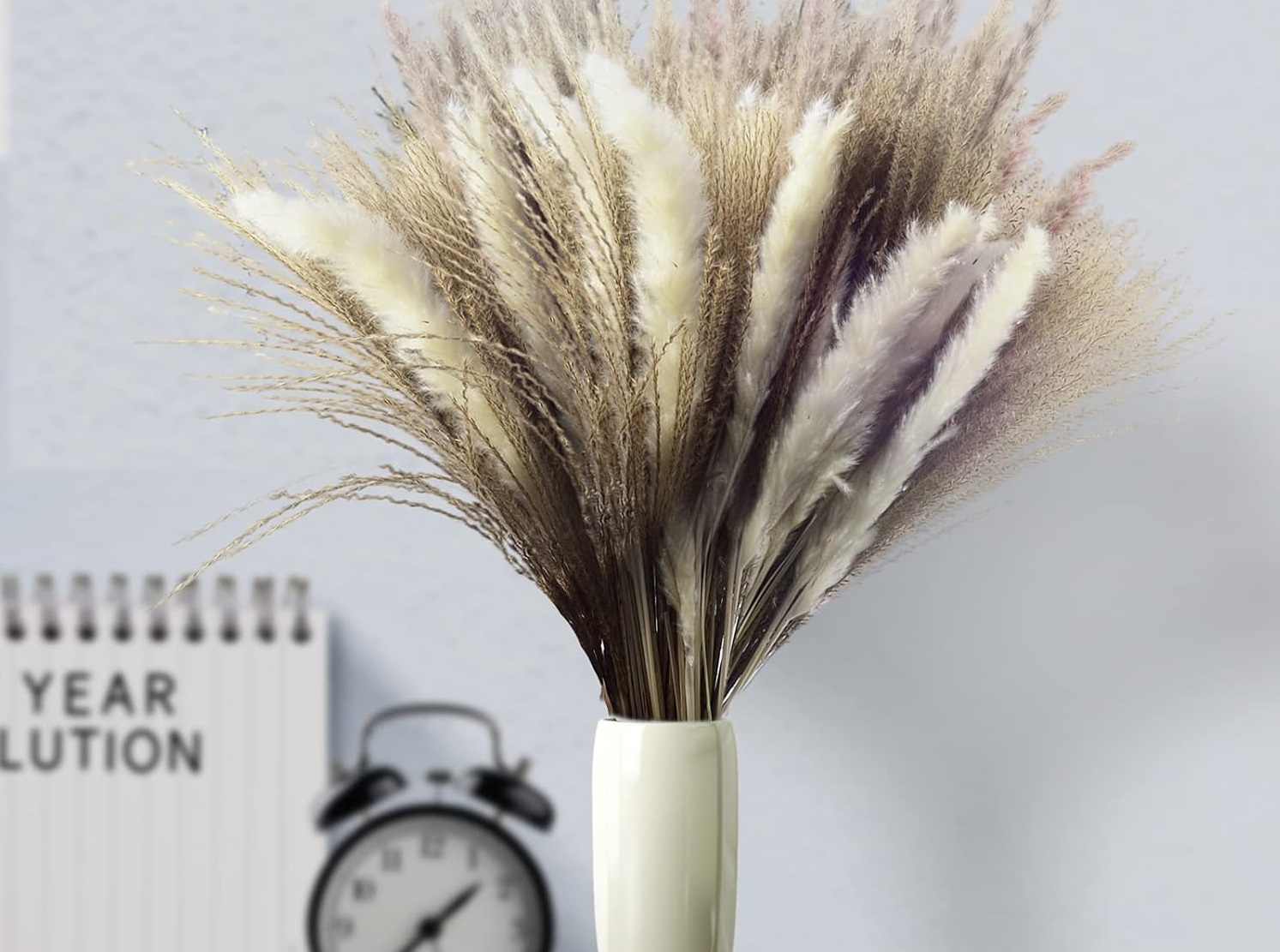 The Best Pampas grasses 2026 - Top 10 Pampas grasses | Buy Now Guide