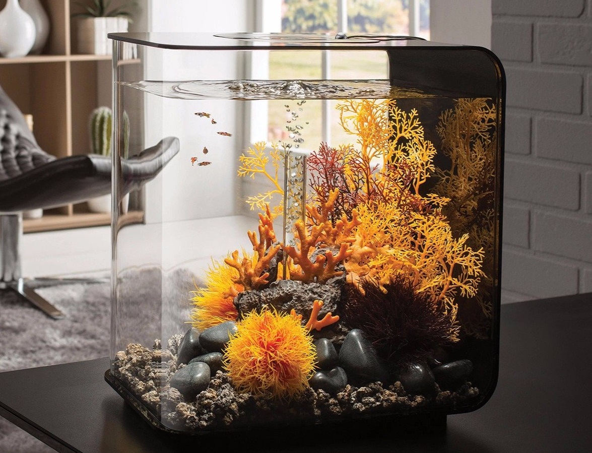 The Best BiOrb Aquariums 2025 - Top 10 BiOrb Aquariums | Buy Now Guide