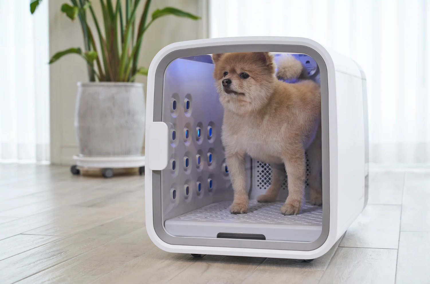 The Best Pet Dryers 2026 - Top 10 Pet Dryers | Buy Now Guide