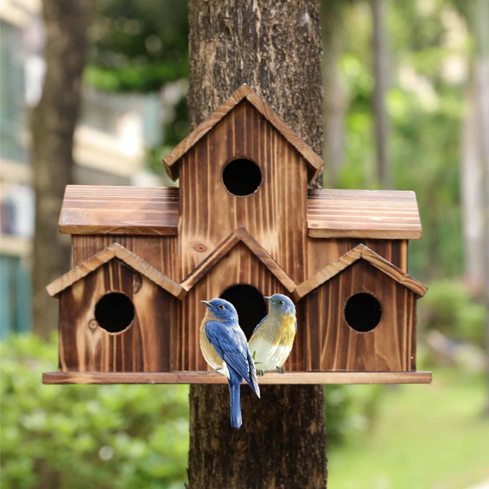 The Best Bird Houses 2025 - Top 10 Bird Houses | Buy Now Guide