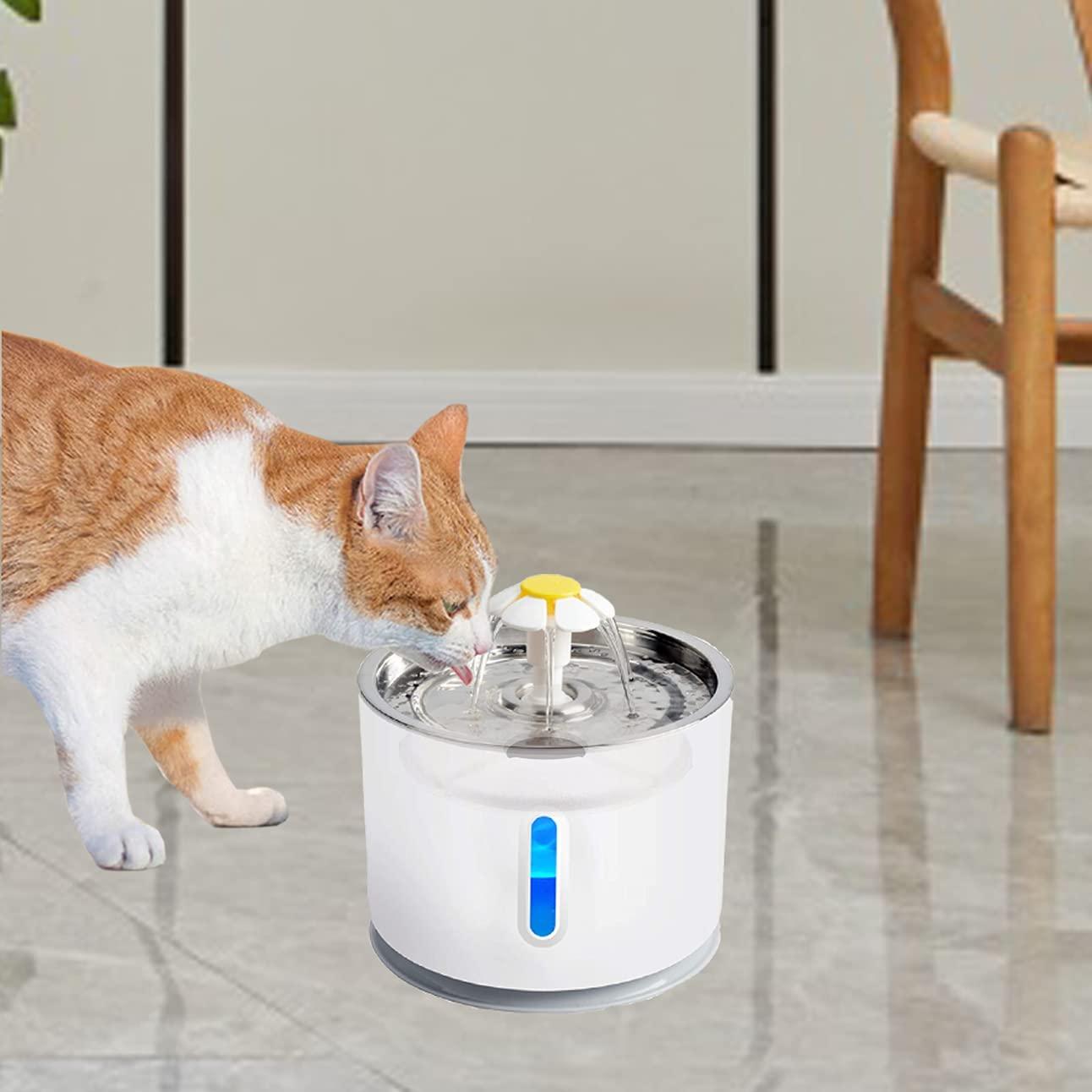 The Best Cat Water Fountains with Triple Filtration 2026 - Top 10 Cat ...