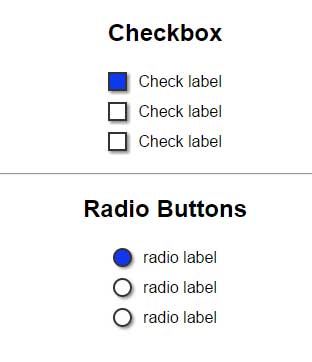 CSS Styling For Checkbox And Radio Buttons No Jquery Required