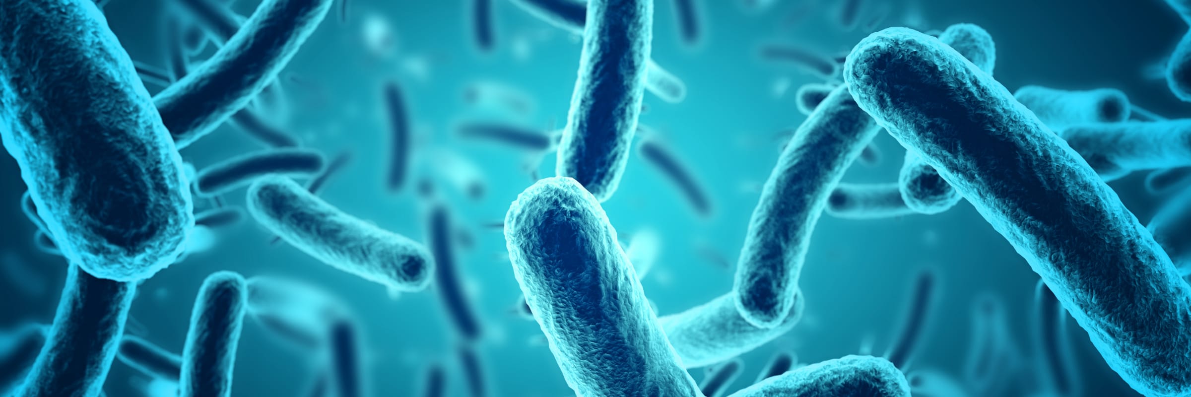 Role of Enzymes & Bacteria in Septic Tanks | Bio-Sol