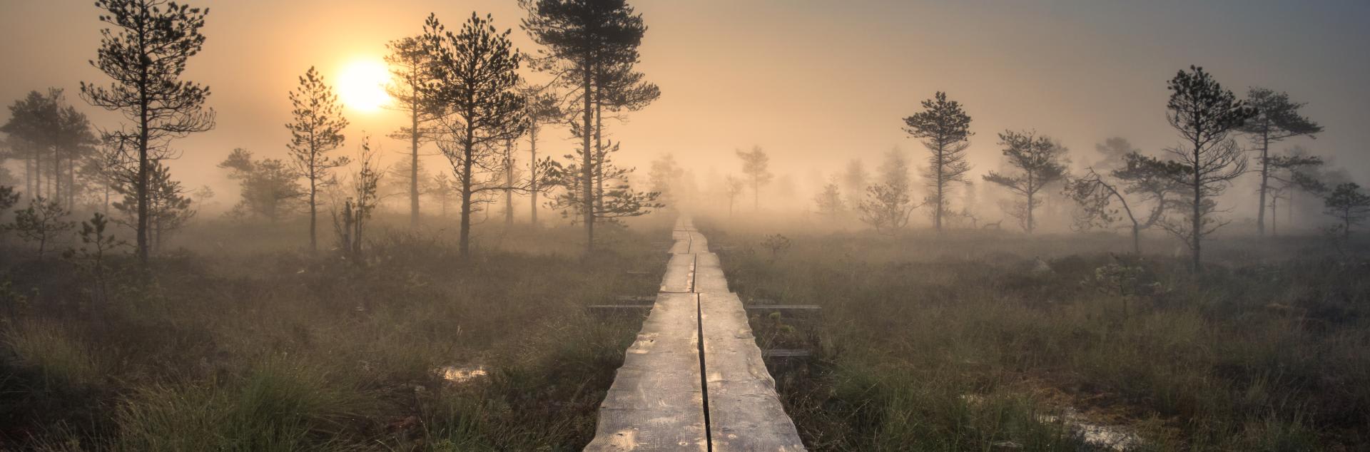 Engineering - Etteplan