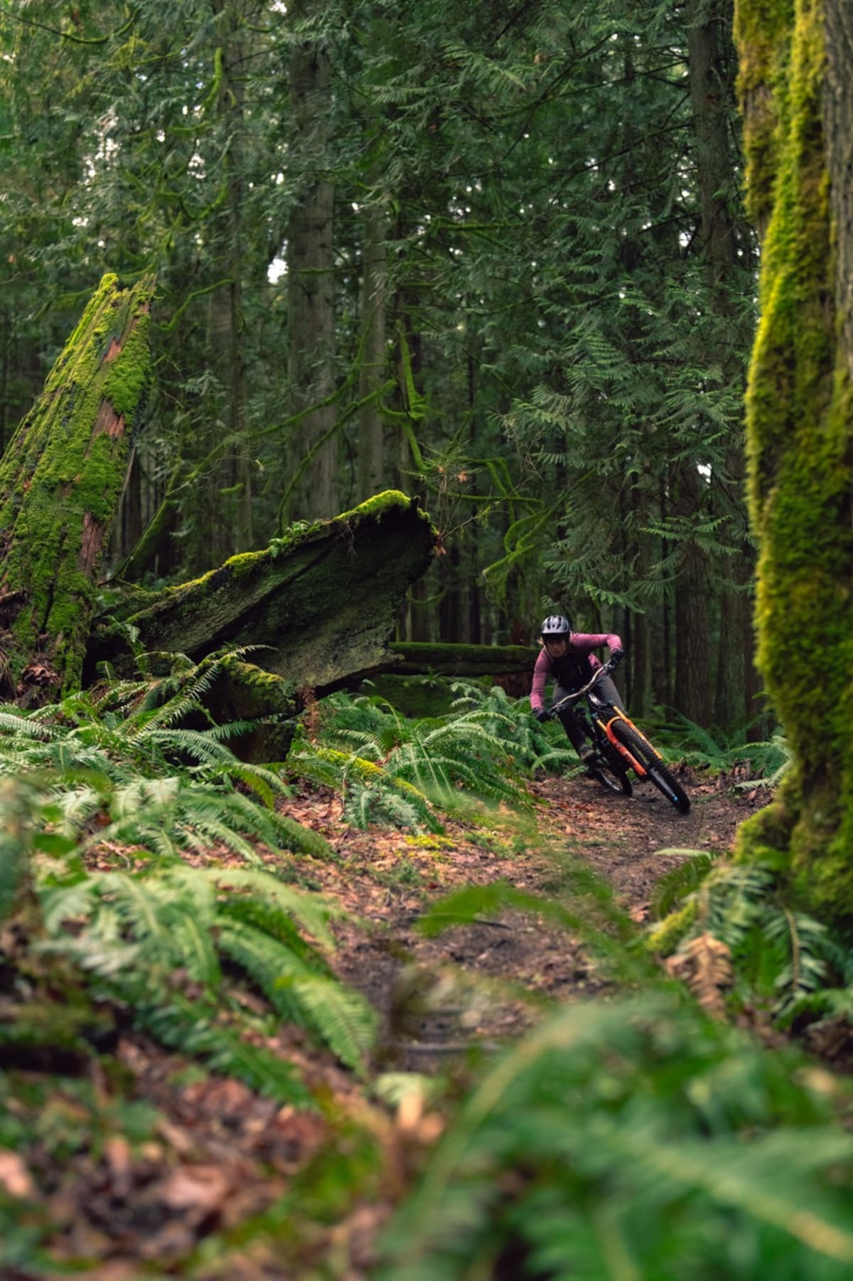 Jill Kintner - Pivot Cycles