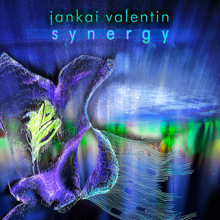 Jankai Valentin: Synergy - Valentin Jankai