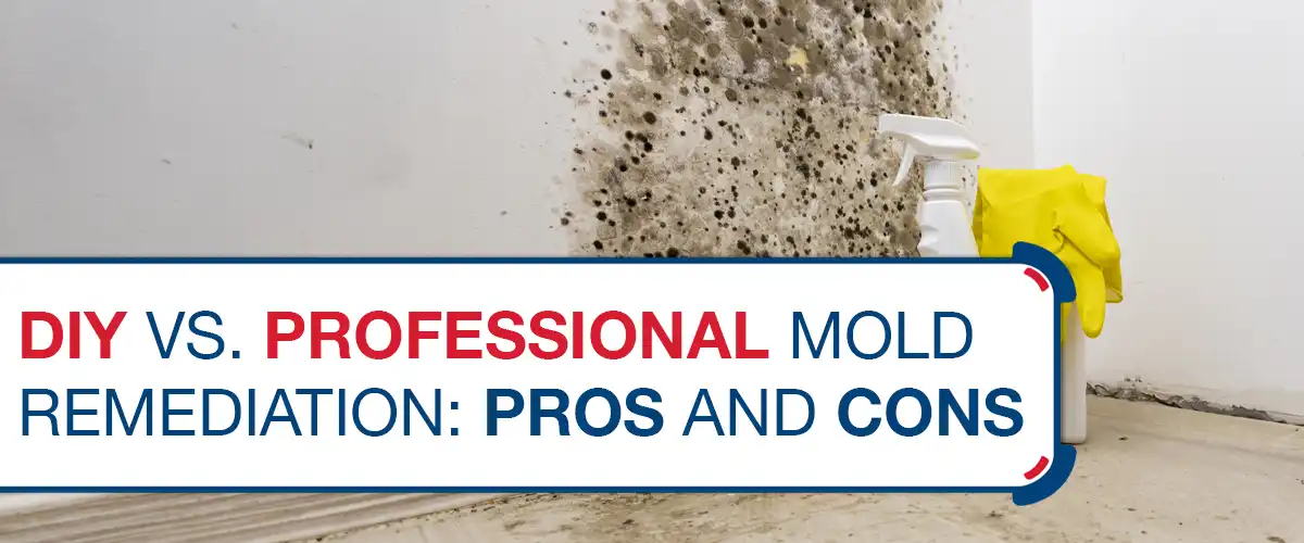 DIY vs. Professional Mold Upender Repairs: Which is Better?