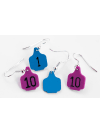 Ear Tag Earrings | Ear Tags Direct