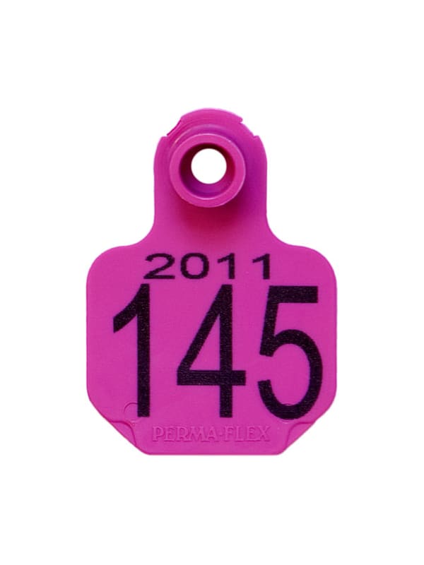 Perma-Flex Small Cattle Ear Tag | Ear Tags Direct
