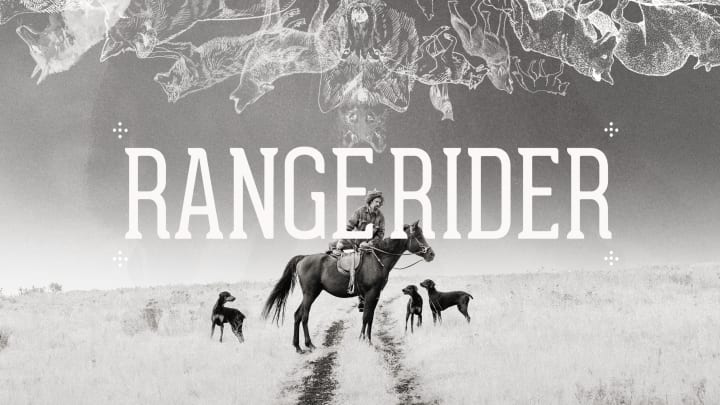 Range Rider