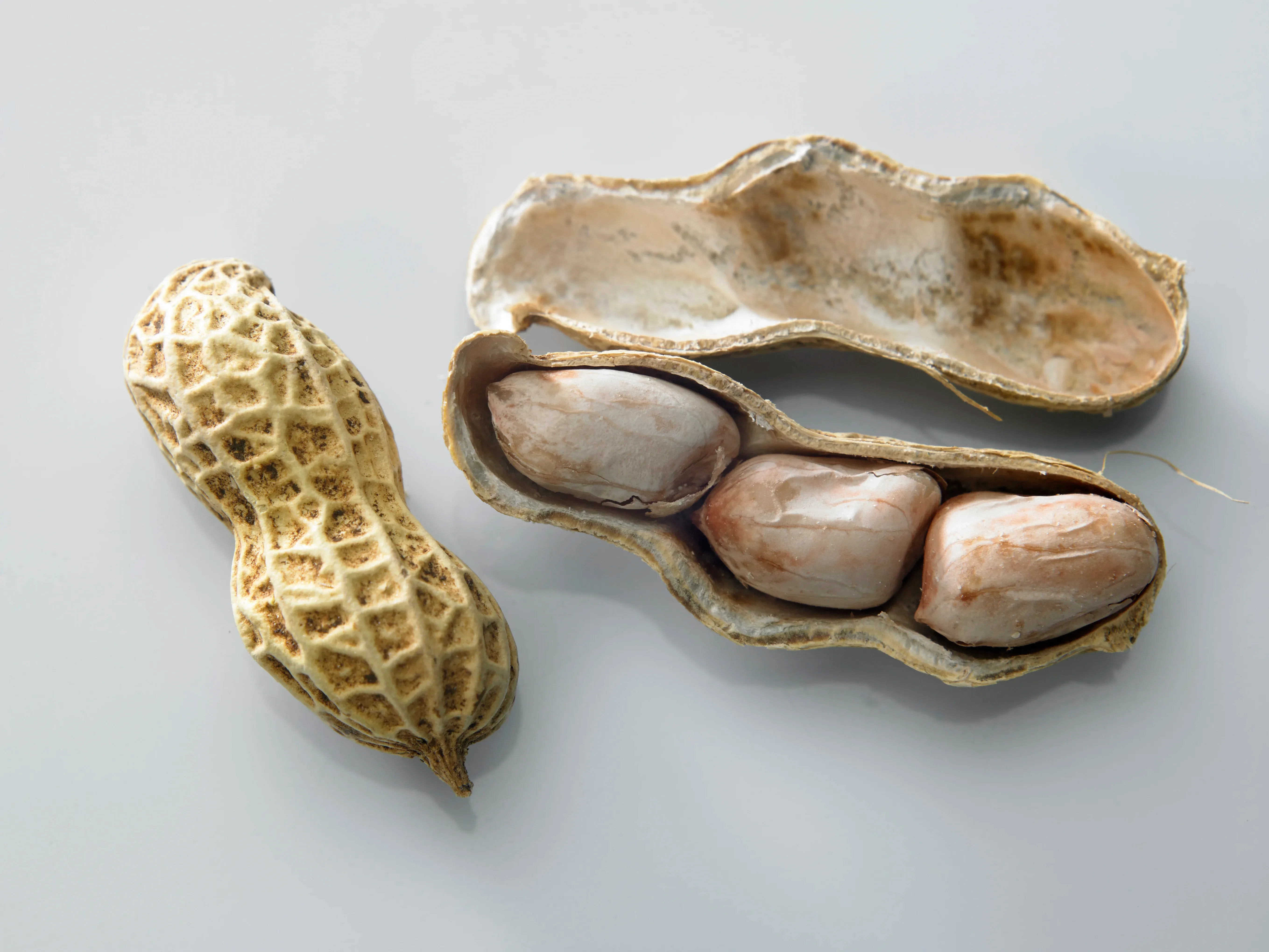 Groundnut Shell Properties, Seasonality, and Global Availability ...