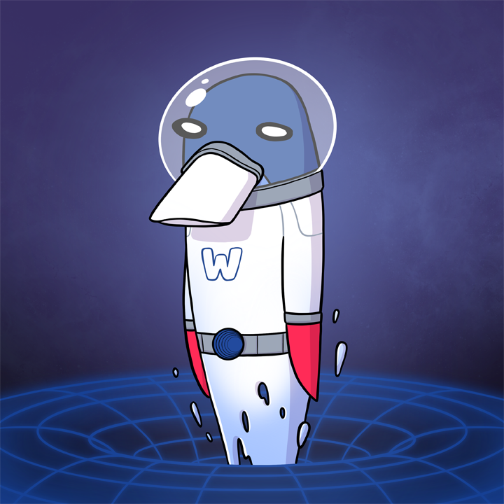 Wormhole Wassies!