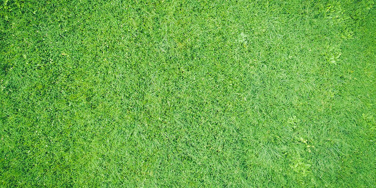 Green Hydrogen: A Path to the Age of Renewable Energy