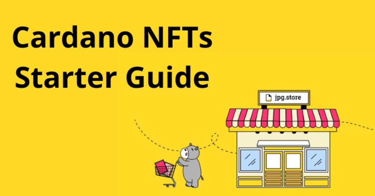 Cardano NFTs Starter Guide by: addr on wisdom.courses learning platform
