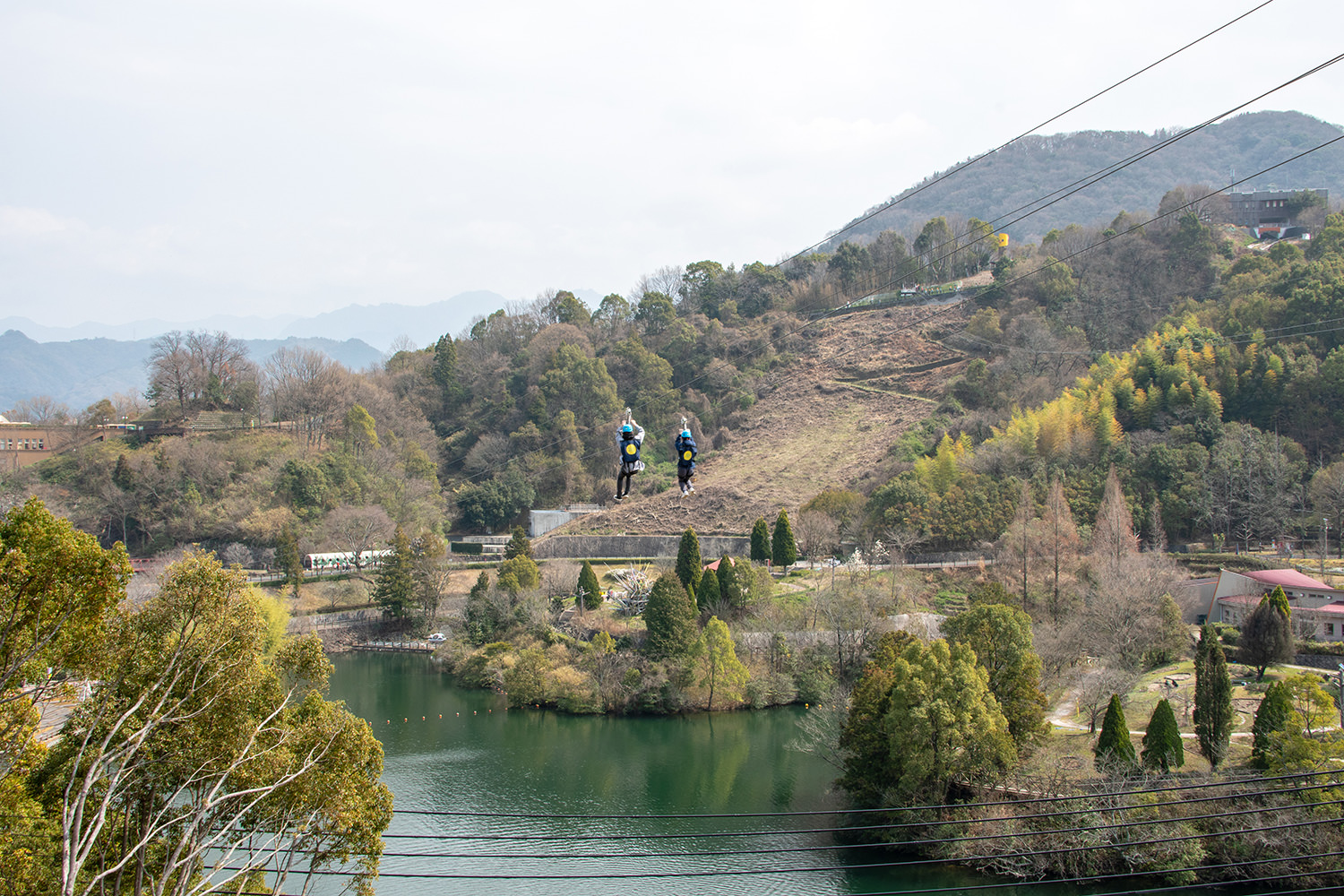 Zipline | Things to Do | Visit Ehime Japan