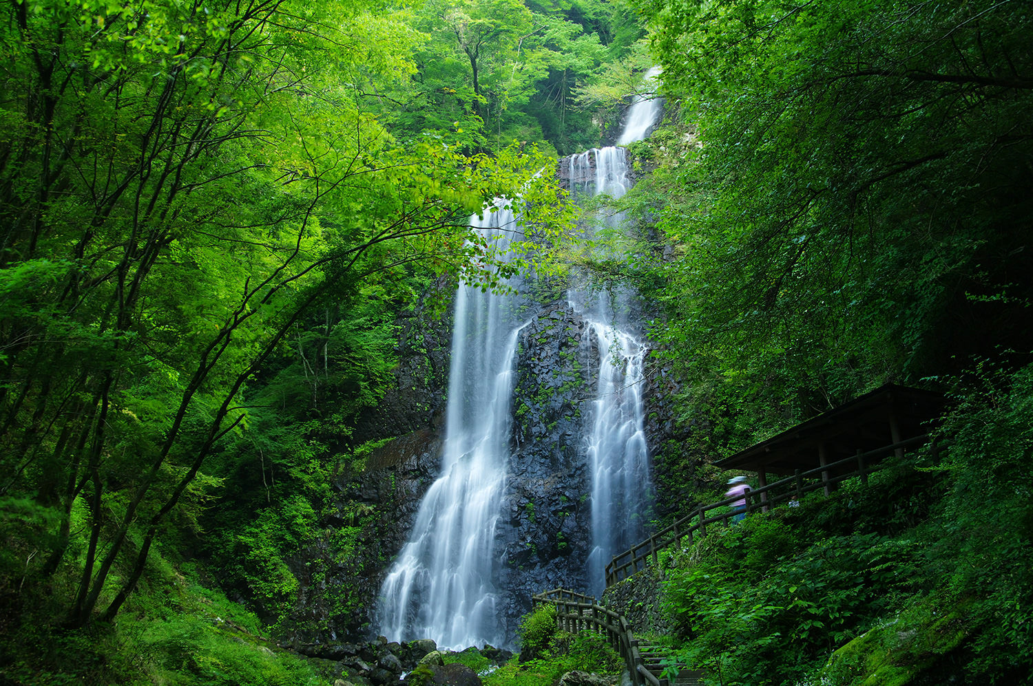 Shirai Falls | Things to Do | Visit Ehime Japan