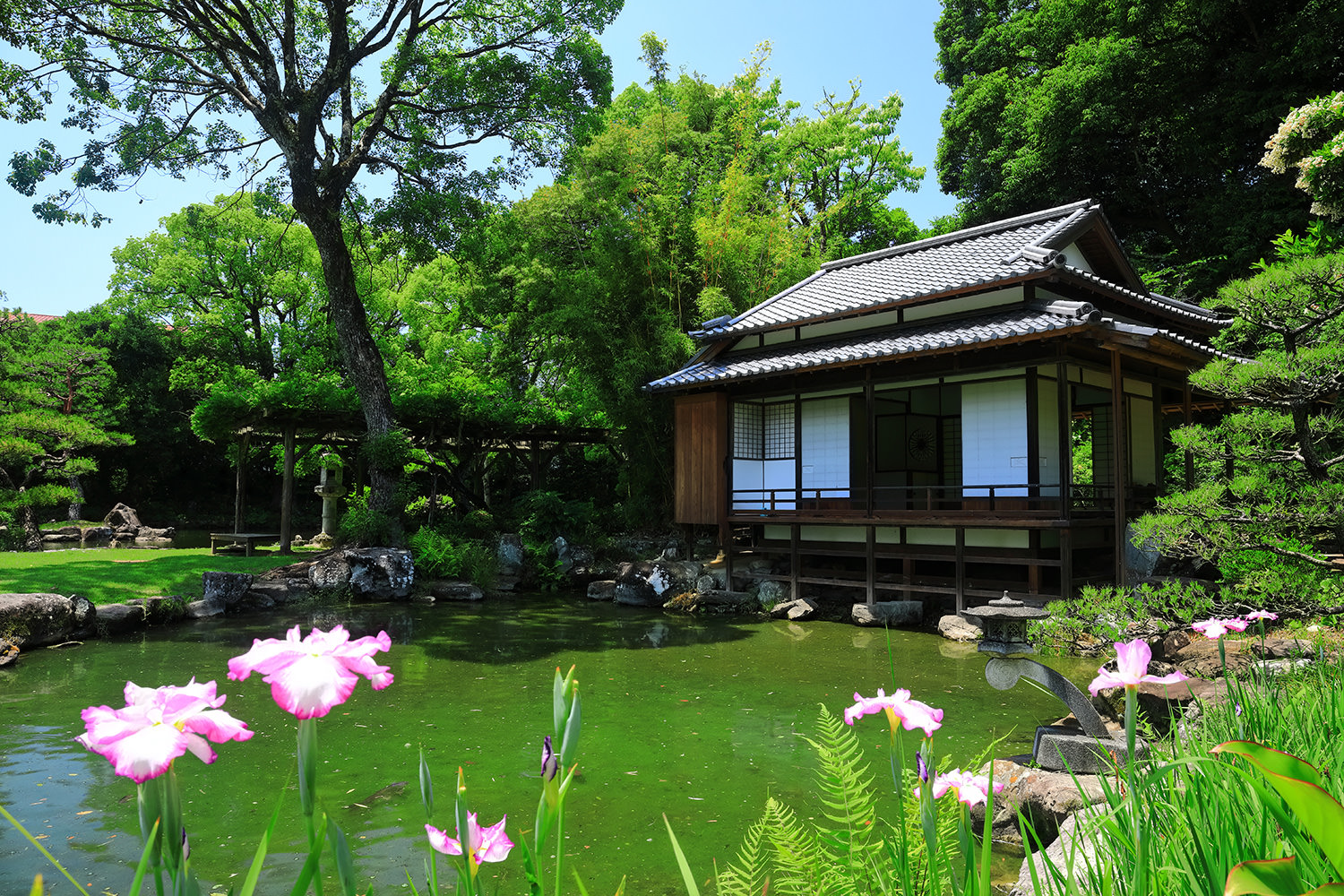 Tenshaen Garden | Things to Do | Visit Ehime Japan