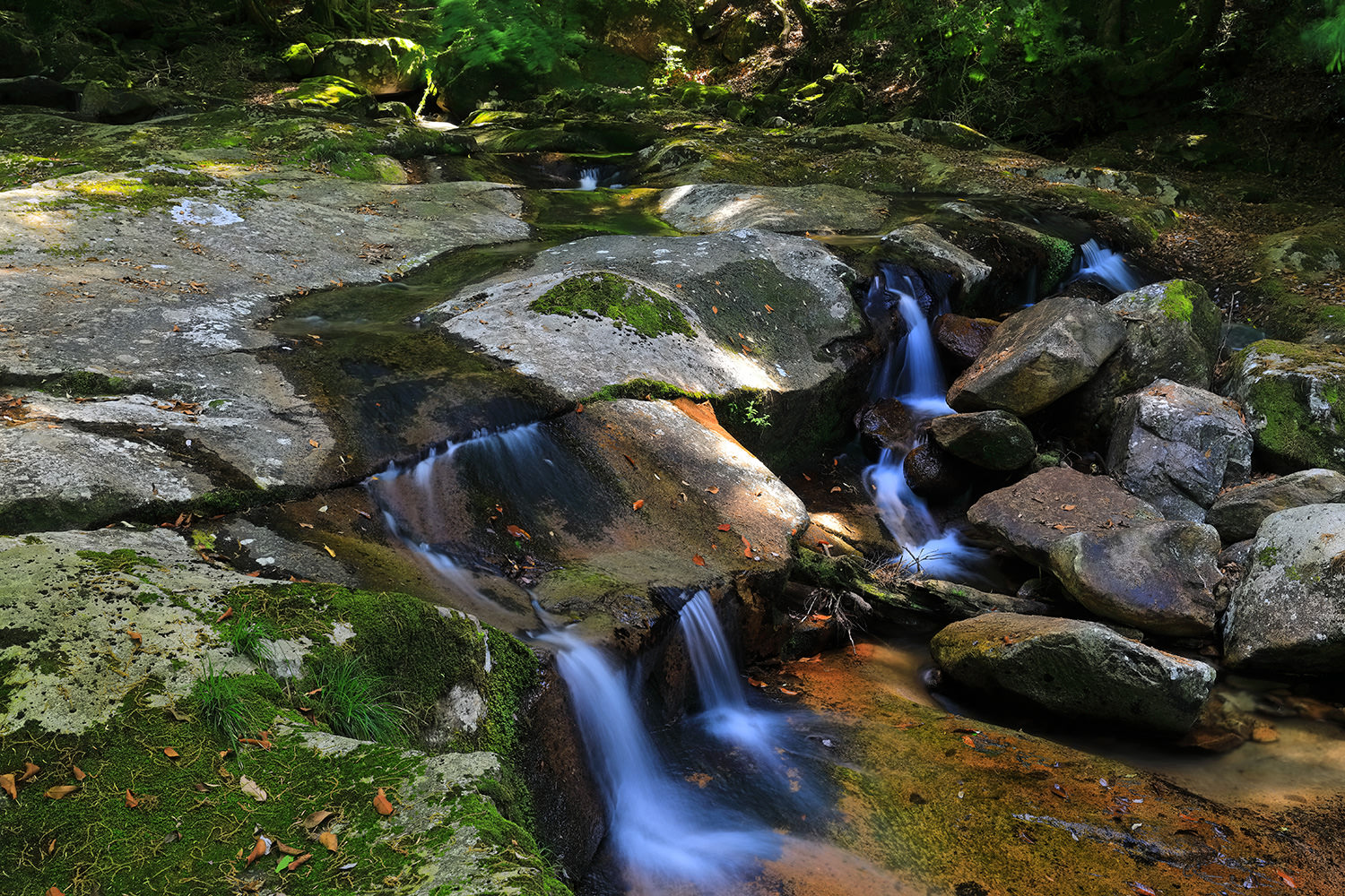 Narukawa Gorge | Things to Do | Visit Ehime Japan