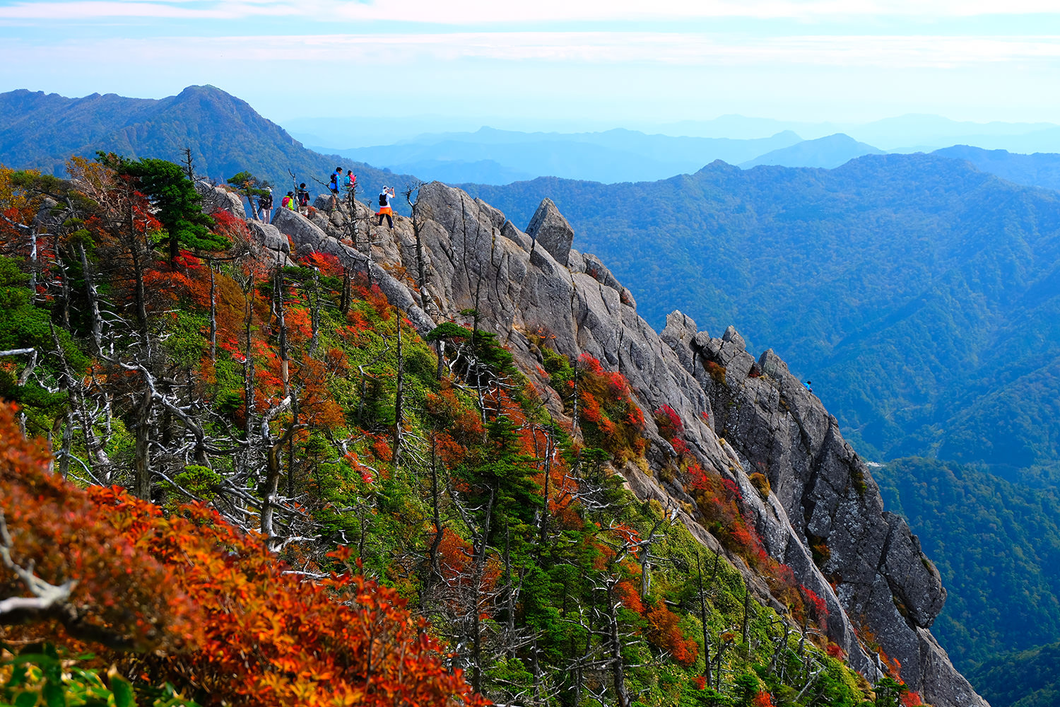 Stories & Guides | Visit Ehime Japan