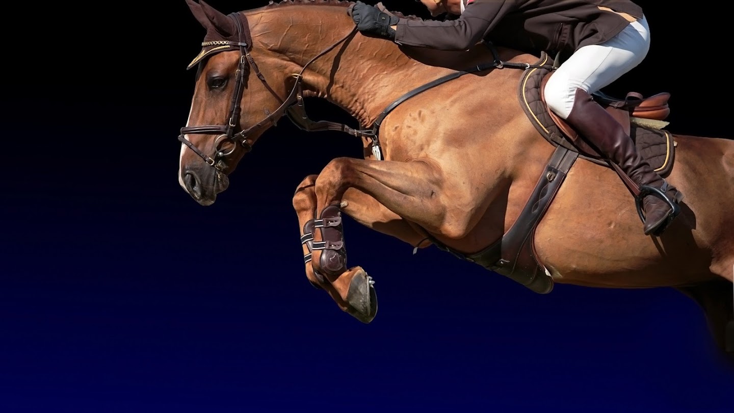 NIL Club for SMU Equestrian Team