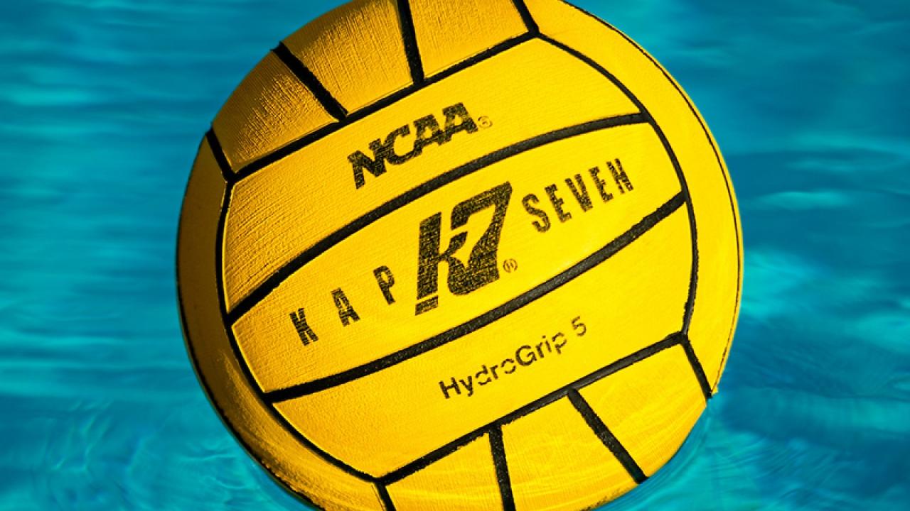 NIL Club for Waubonsee Women's Water Polo Team