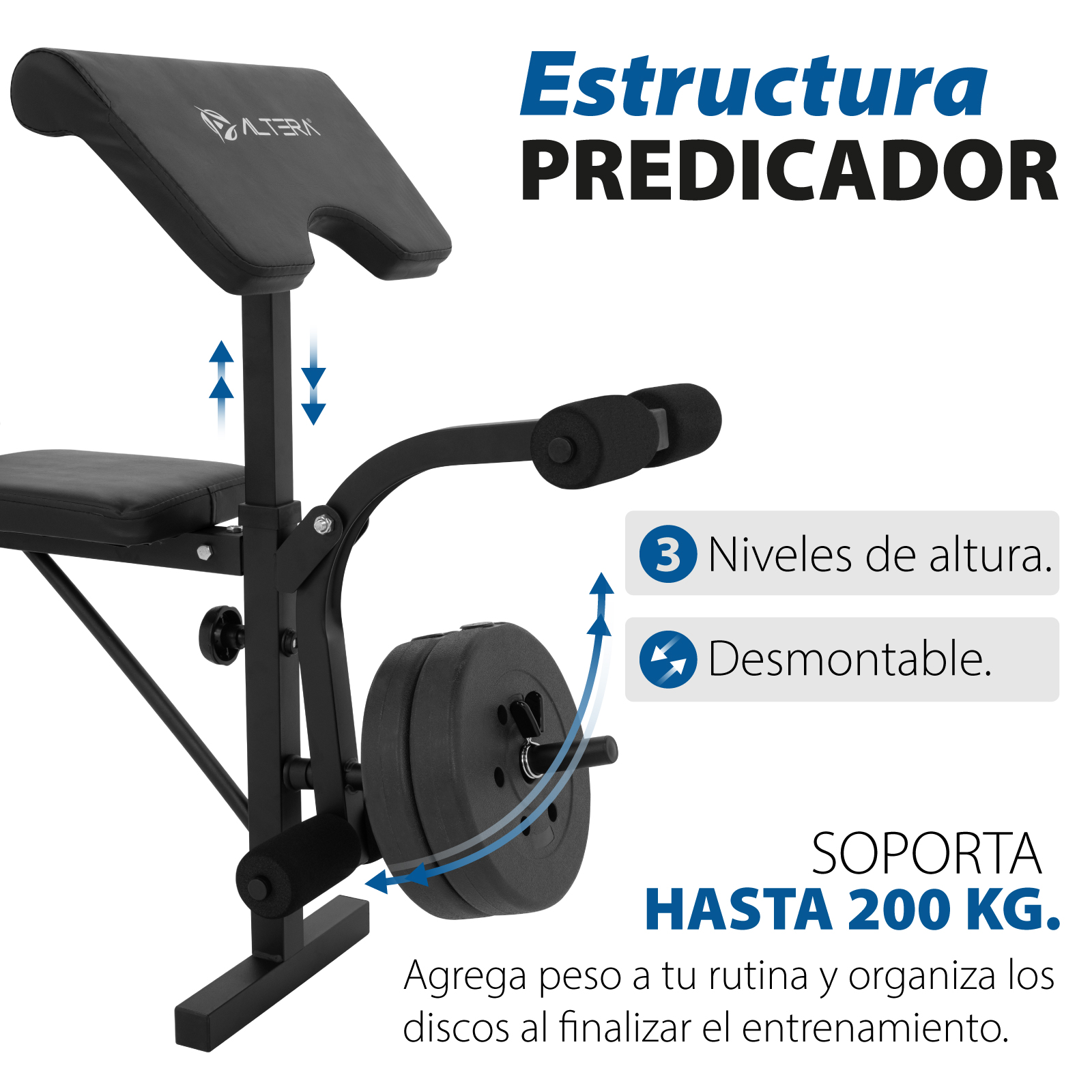 Banco de Ejercicio Fitness Altera LIONSET Kit Multifuncional Respaldo ...