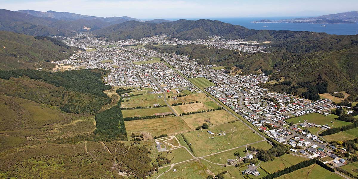 Professionals Wainuiomata