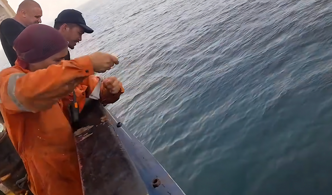 Abandoned at Sea: The 2024 Crisis of Seafarer Exploitation